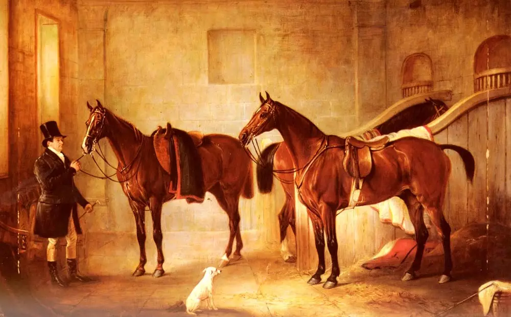 Pisanje konja: Sedla 101