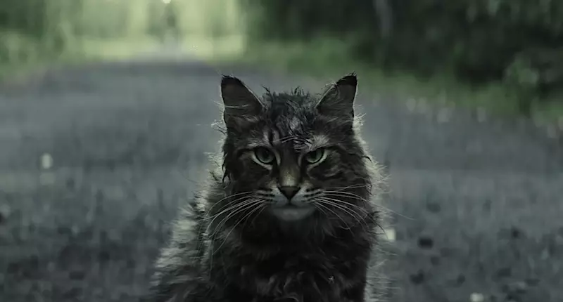 Guillermo del Toro Hayang Adaptasi Pet Sematary, Carita Anu Nyingsieunan Anjeunna 'Saratus Kali Langkung' Ayeuna Salaku Bapa