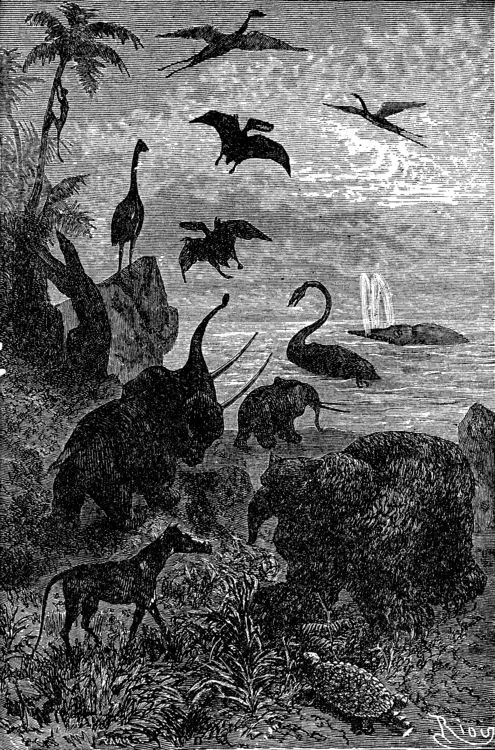 Lihat Ilustrasi Asli dari Voyages Extraordinaires karya Jules Verne 10470_2