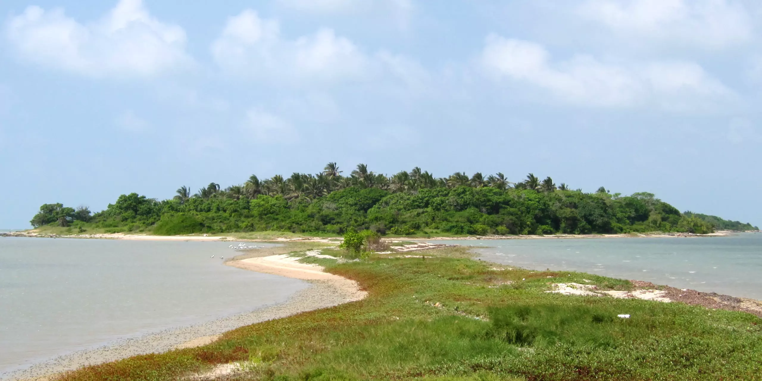 चार SF कथा ज्या लॉर्ड ऑफ द फ्लाईज पेक्षा गिलिगन बेट अधिक आहेत