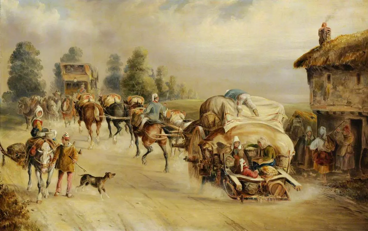 Pisanje o konjih: konji, ljudje in koevolucija