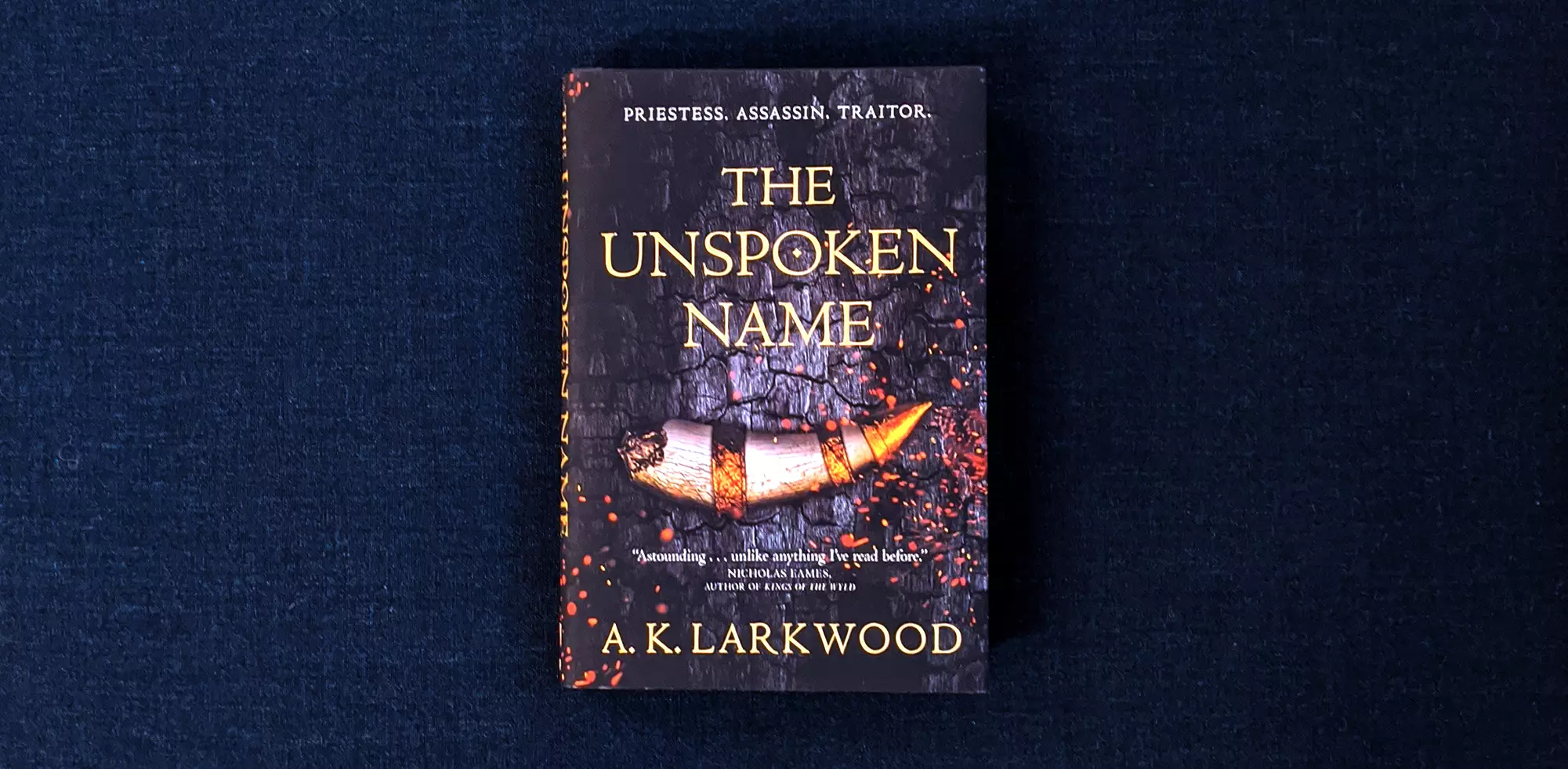 Queer Orc Assasins i Magical Intrigue: The Unspoken Name autorstwa A.K. Larkwooda