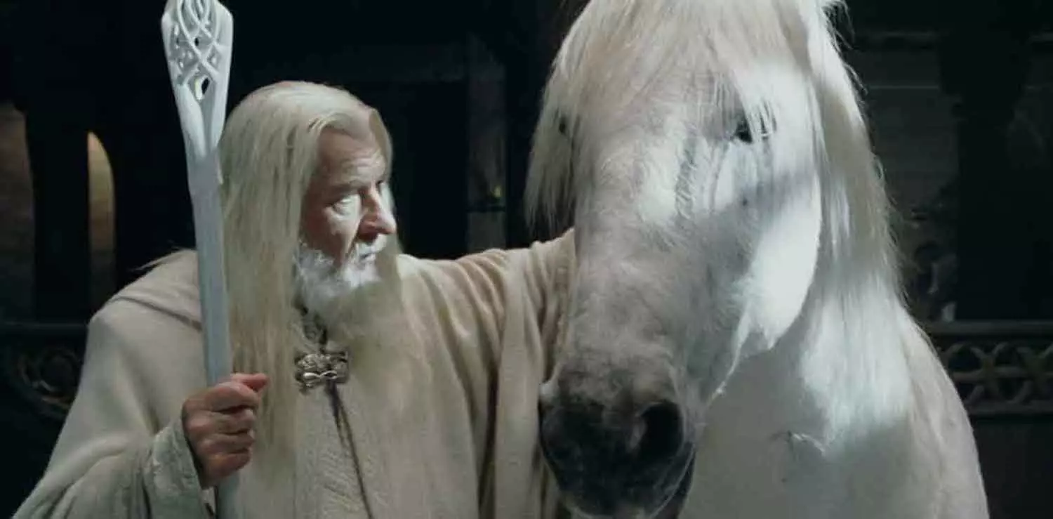 The Taming of Felaróf, Bapa Kuda di The Lord of the Rings