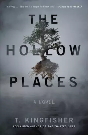 Գրկելով տաքսիդերմիան. T. Kingfisher's The Hollow Places (մաս 7)