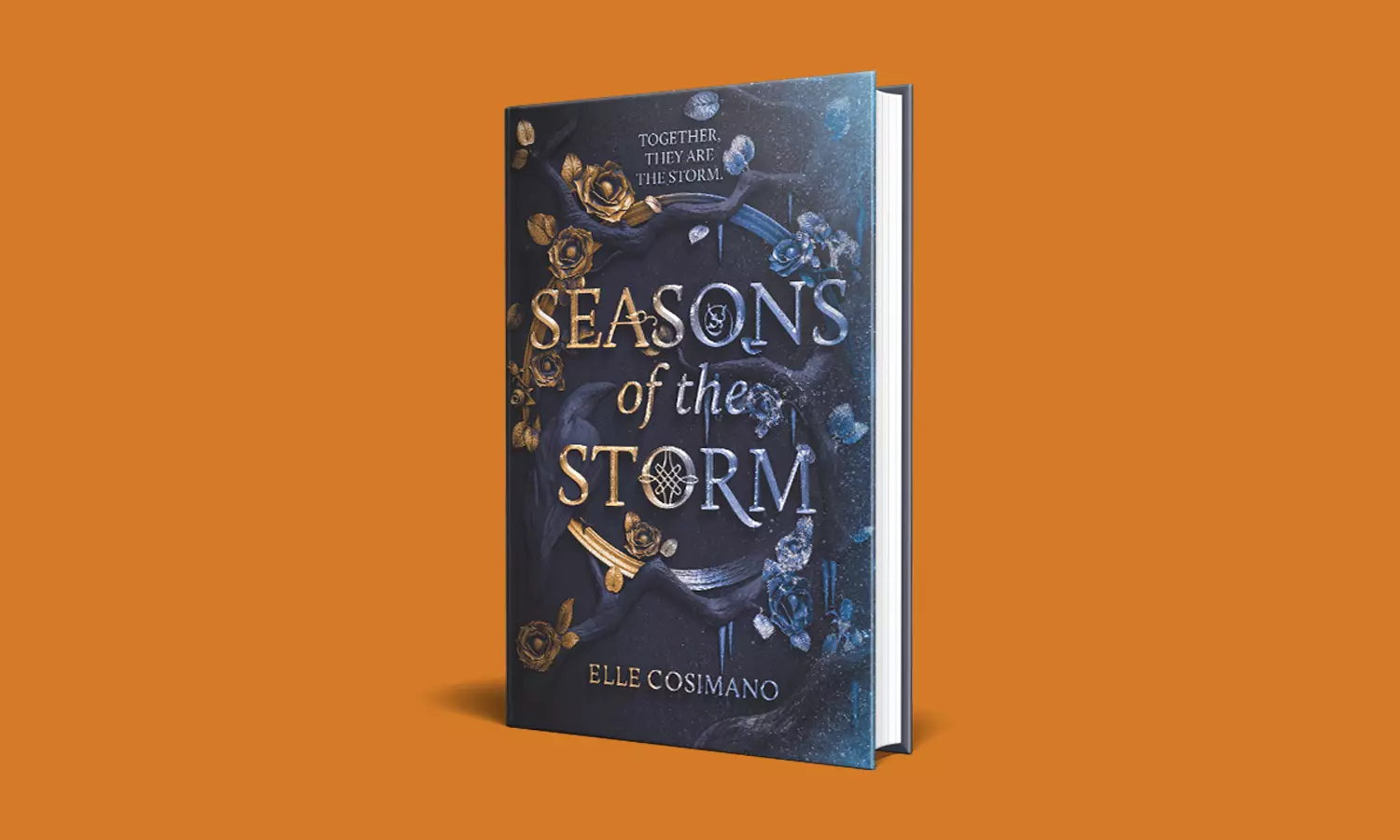 Liest en Auszuch aus Seasons of the Storm