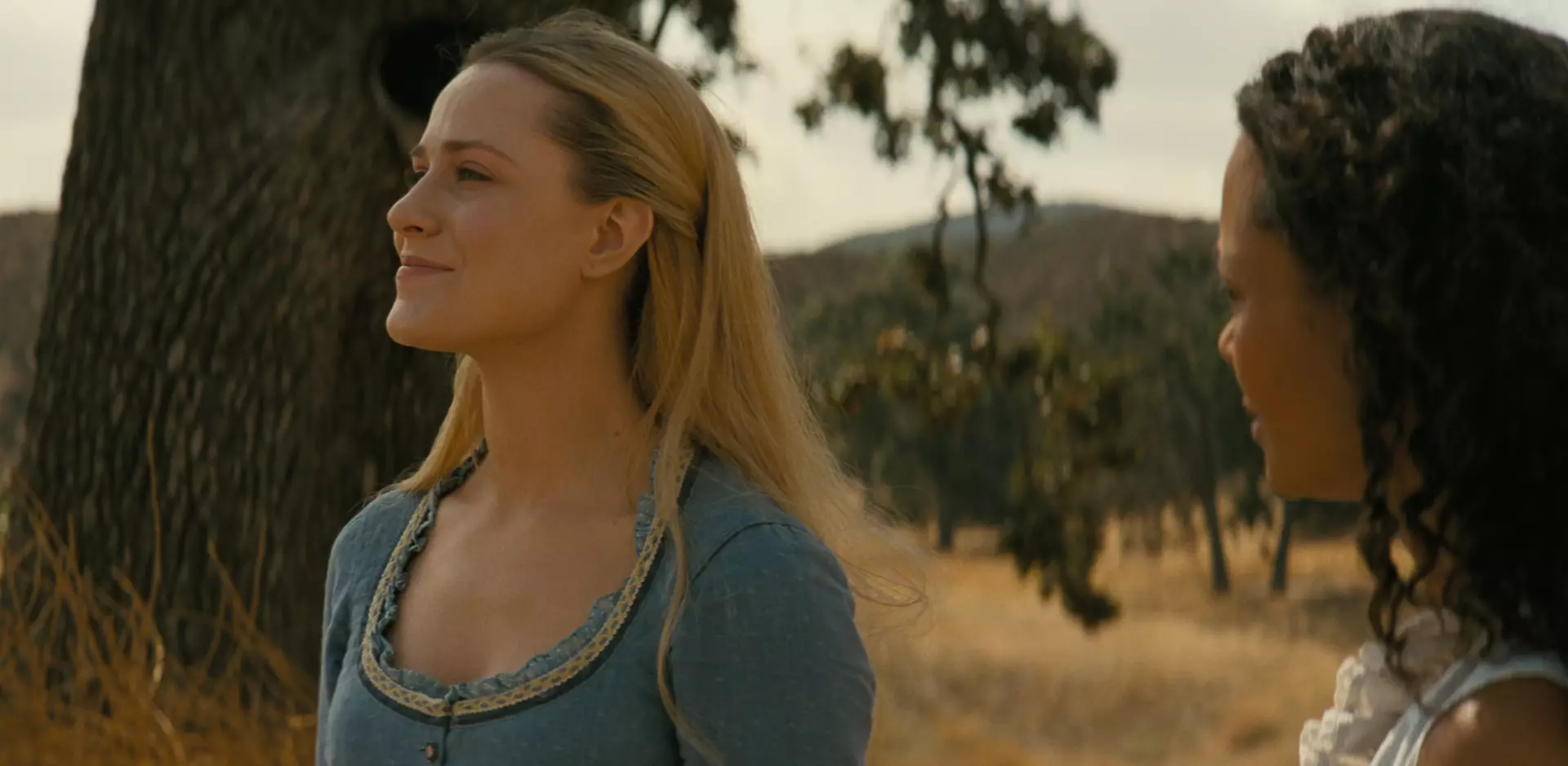 Westworld მე-3 სეზონის ფინალი: 