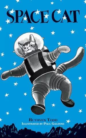 Awọn Kayeefi Adventures ti Space Cat! 12356_1