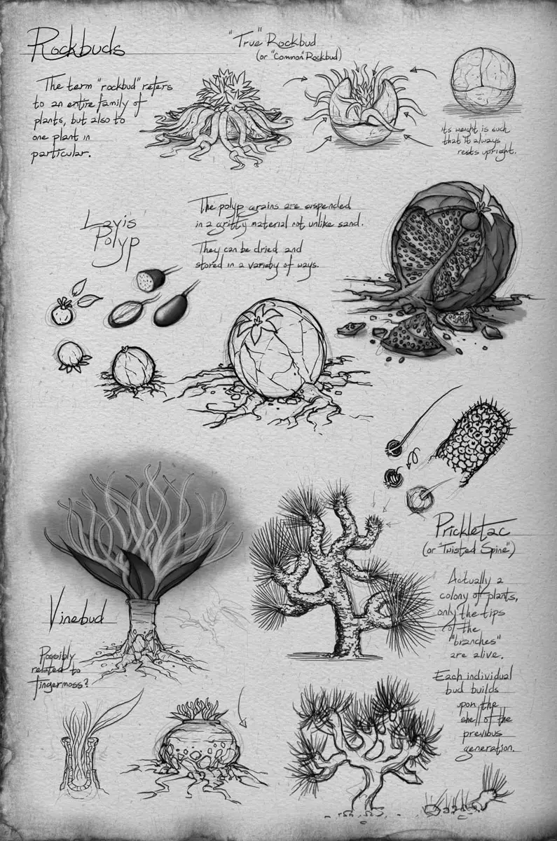 Roshars økologi: Flora og fauna 12745_2