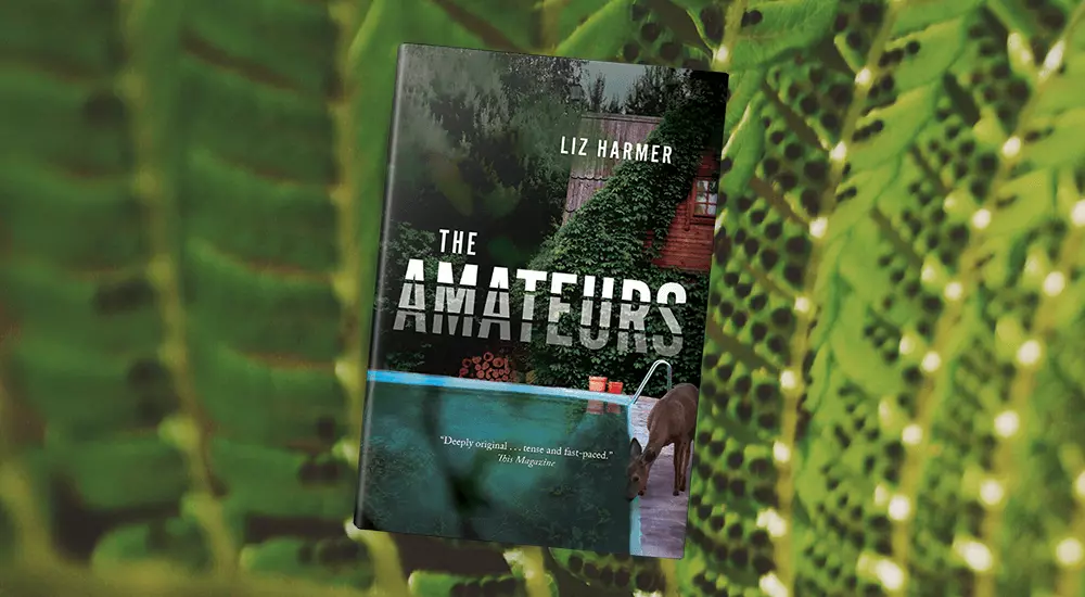 Camiños infinitos e unha sensación de ameaza: The Amateurs de Liz Harmer