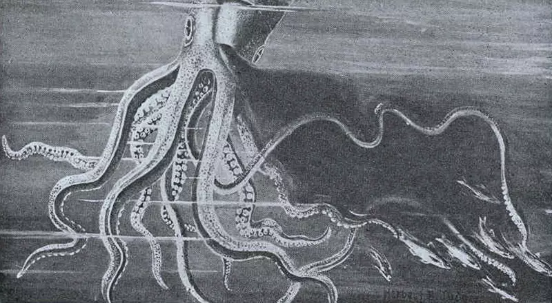 "De tentakel en jo" en de fûnemintele weirdens fan in fysike wrâld net boud foar jo foarm