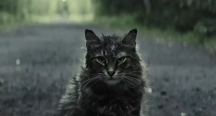 Pet Sematary признава дека смртта е неизбежна; Мачките се чудовишта 13746_3