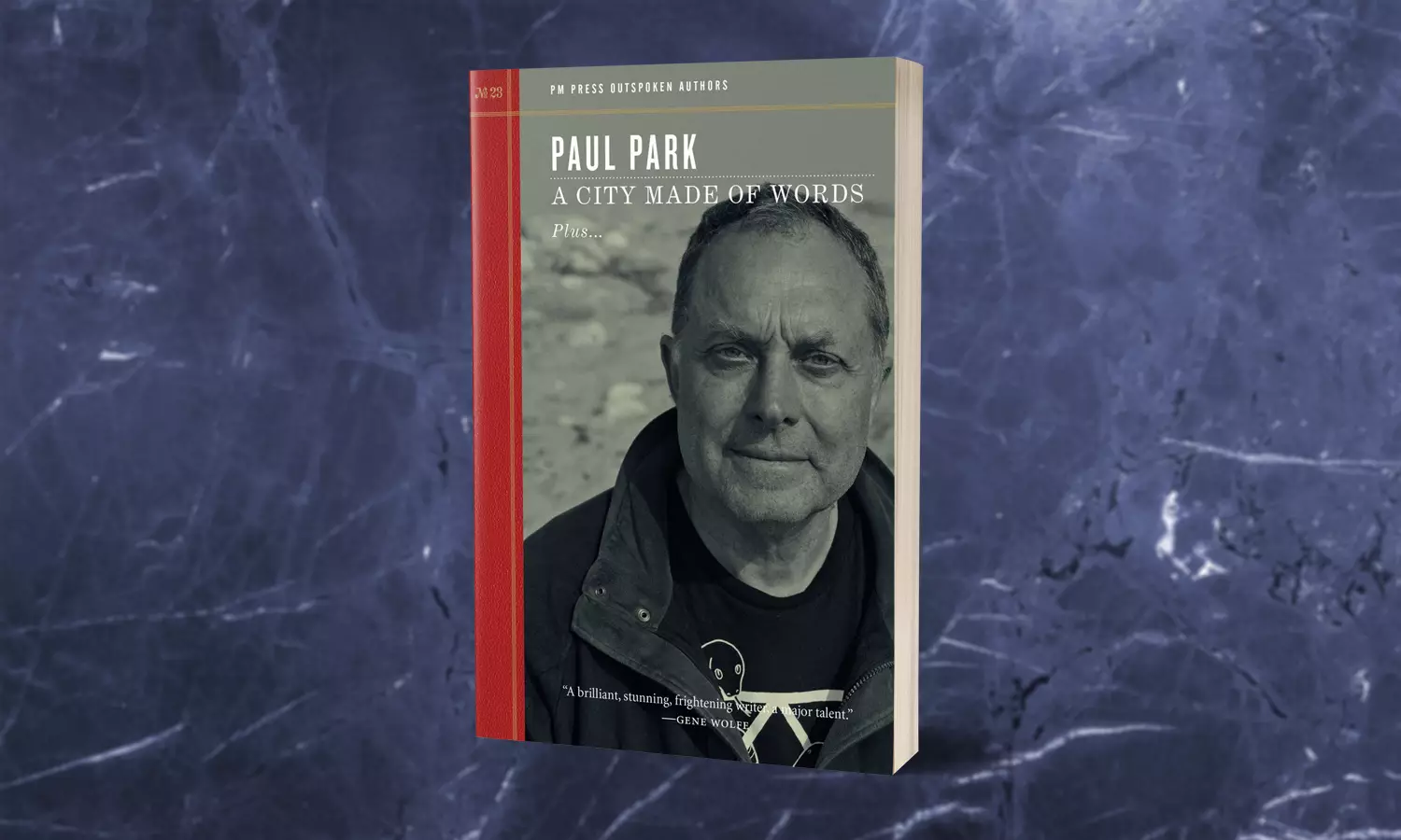 Lekfull metafiktion: Paul Parks A City Made of Words