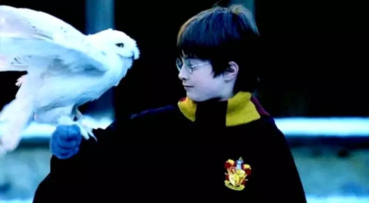 Harry Potter, Harry og Hedwig