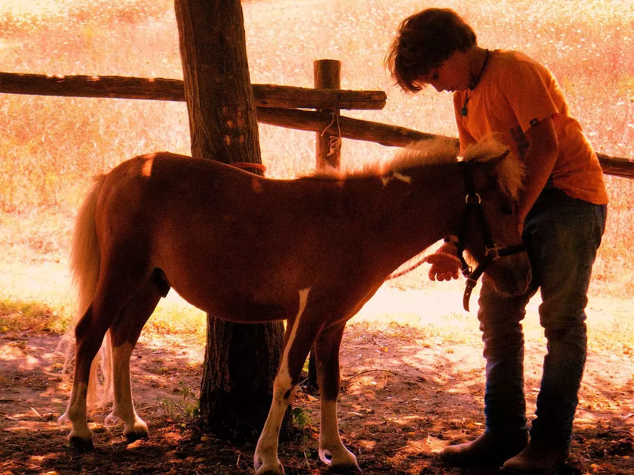 SFF Horse Breeds: Serangan saka Otak Pony