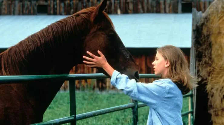 Il-Gwida Prattika ta' Horseman għat-Telepatija Ekwina