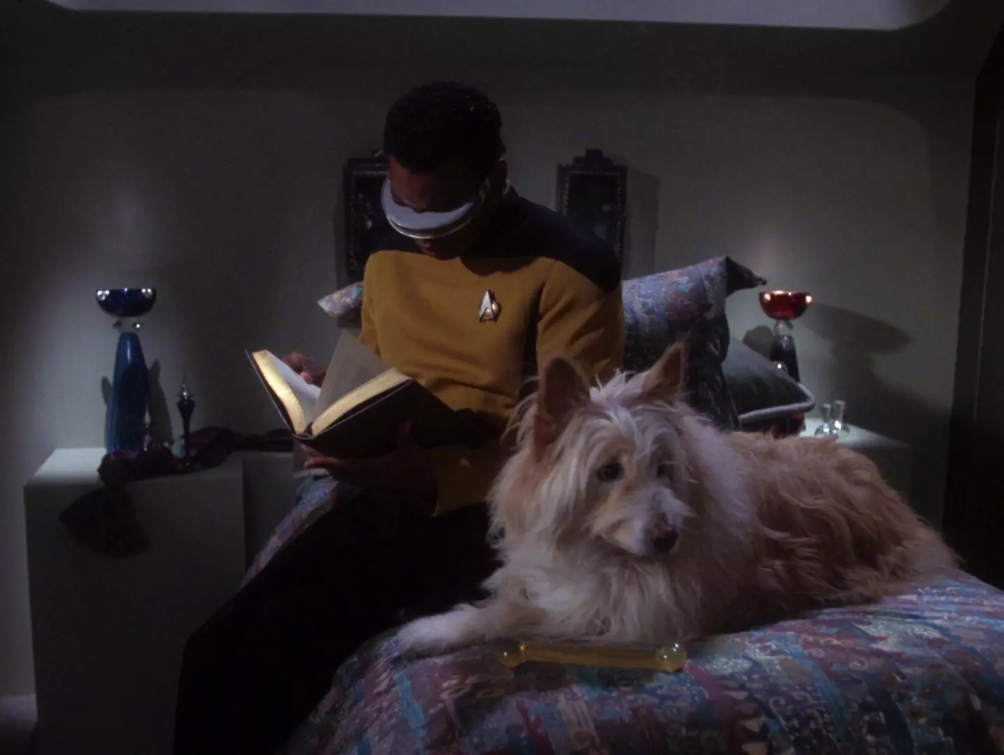 Classement des meilleurs chiens de Star Trek 14577_3