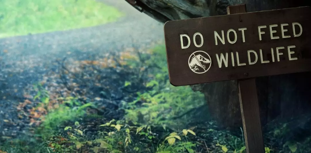The New Jurassic World Short-Film finder sted et år efter det faldne kongerige