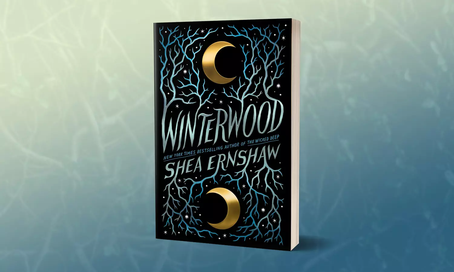 Į mišką: Shea Ernshaw „Winterwood“.