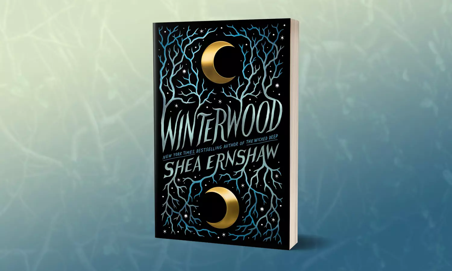 Gudaha kaynta: Shea Ernshaw's Winterwood