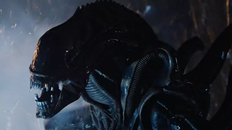 Alien learde my alles oer it skriuwen fan Monster Horror