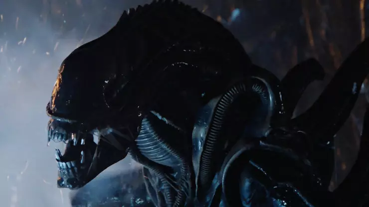 Alien kụziiri m ihe niile gbasara ịde egwu egwu