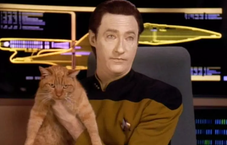 Star Trek: Picard — 25 ең ықтимал келесі буын камеоларының рейтингі 14883_12