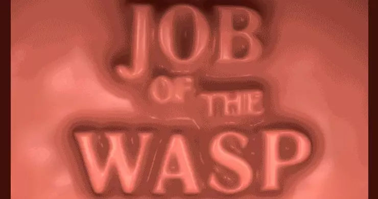 The Unstable Nature of Reality: The Job of The Wasp av Colin Winnette