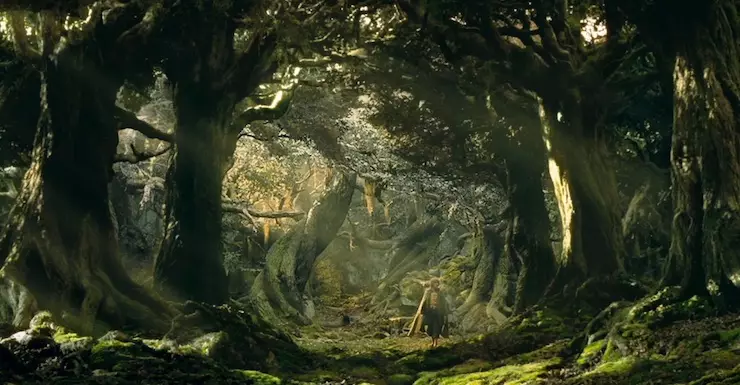 Ecni nën tendën e tetë pyjeve imagjinare