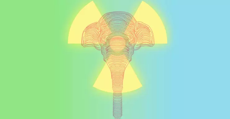 Słoń w pokoju: jedyna nieszkodliwa wielka rzecz rozwiązuje problem atomowego kapłaństwa