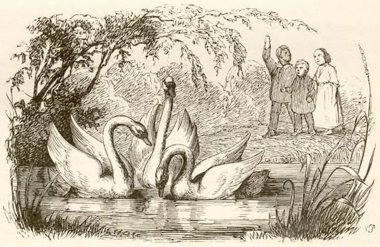 Chwedl am Gelfyddyd ac Annhegwch: “The Ugly Duckling” gan Hans Christian Andersen 15677_1