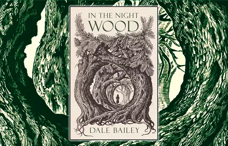 Funda isicatshulwa esivela kuDale Bailey's In the Night Wood