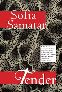 Self-Conscious Stories: Tender av Sofia Samatar