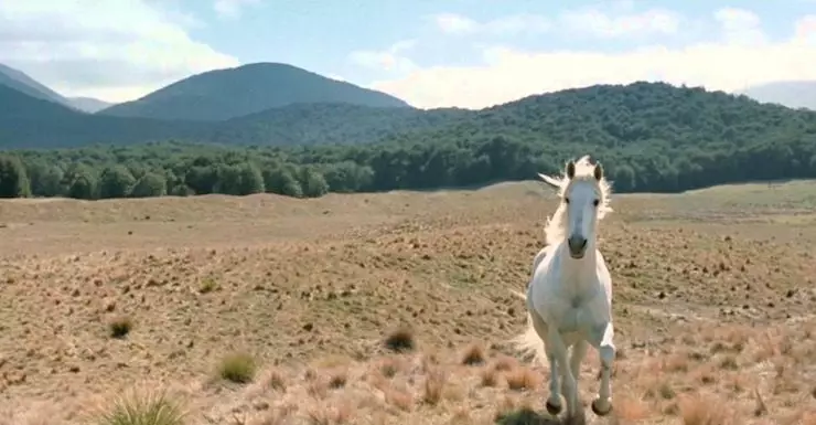 Zápas v kleci Středozemě: Shadowfax vs. Bill the Pony 17664_3