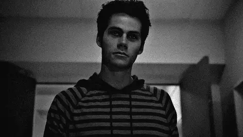 Người sói tuổi teen Void Stiles