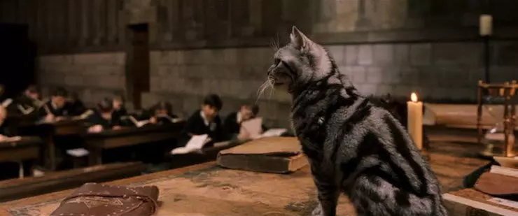 Vehivavy ao amin'ny Harry Potter: Minerva McGonagall, Bright and Burning 18486_2