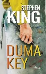 The Great Stephen King អានឡើងវិញ: Duma Key 18942_5