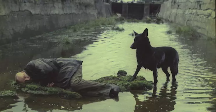 Andrei Tarkovsky's Stalker: Tracking the Unknowable