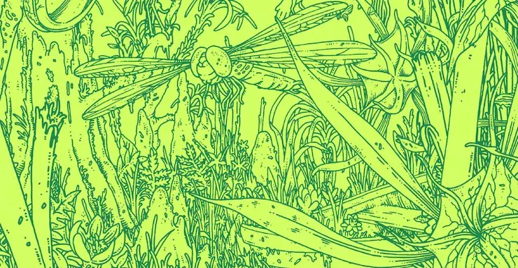 Introversión en Annihilation de Jeff VanderMeer