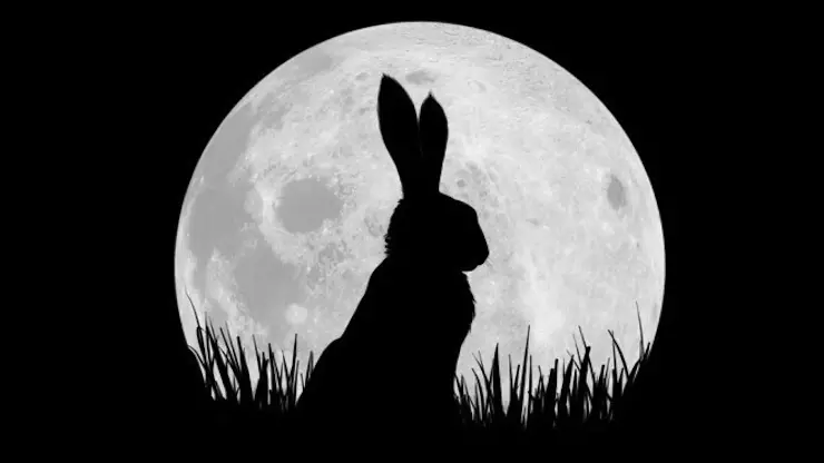 Le remake de Watership Down sera-t-il aussi traumatisant que l'original ?