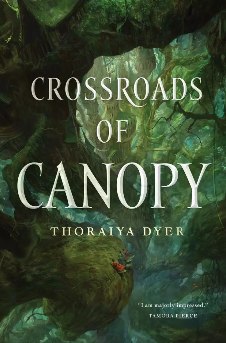 Otkrivanje magične prašume Thoraiya Dyer's Crossroads of Canopy 20645_5