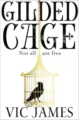 Cage dorée 21234_1