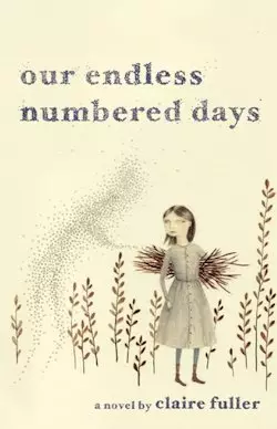 The Great Divide: Our Endless Numbered Days vum Claire Fuller