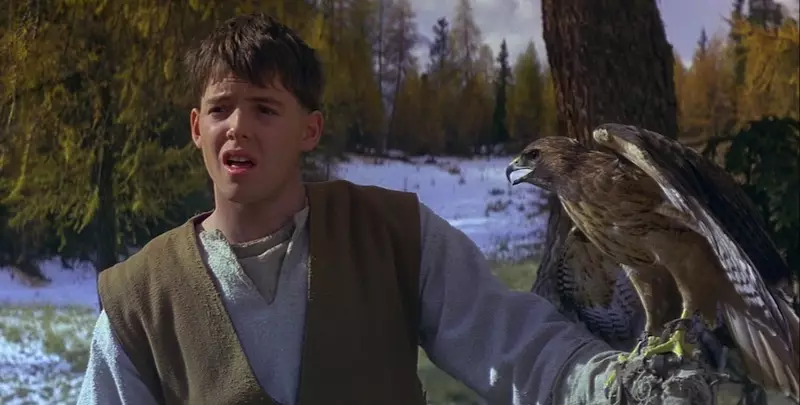 Ladyhawke olaryň hemmesiniň iň gowy ertekimi?