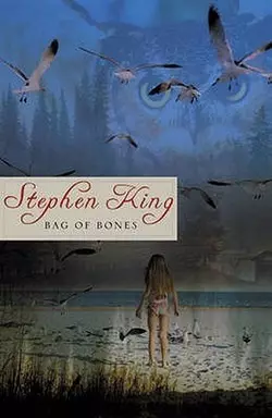 The Great Stephen King Reread: အရိုးအိတ် 23548_2