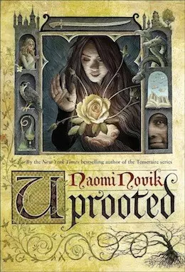 Warner Bros a Ellen DeGeneres adaptují film Naomi Novik's Vykořeněný