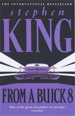 The Great Stephen King Reread: From a Buick 8 23774_4