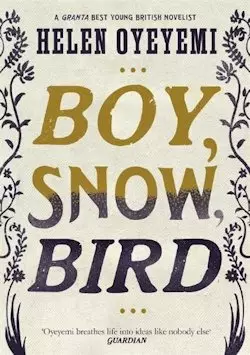 Melalui Kaca Penampakan: Anak Laki-Laki, Salju, Burung oleh Helen Oyeyemi 24793_1