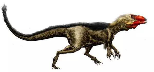 Zéng Tyrannosaurier déi virum T. rex regéiert hunn 25034_1