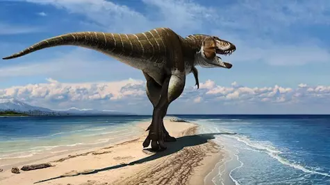 Tyrannosaur iri nke chịrị tupu T. rex 25034_7