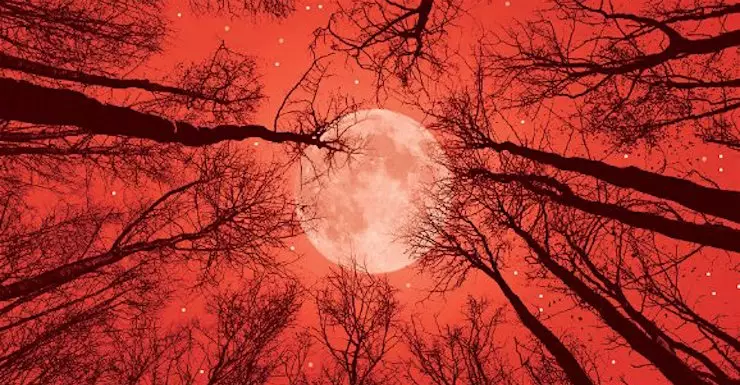 Eine finstere Realität: Elizabeth Hands Waking the Moon